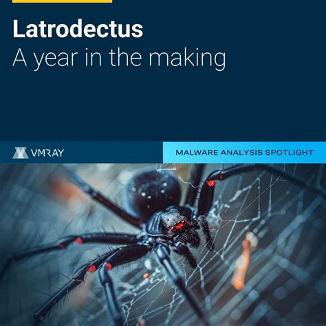 Vmray On Linkedin Malwareanalysis Latrodectus Malware Evasion Persistence Network C2…