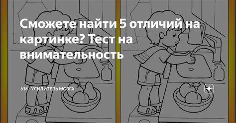 Сможете найти 5 отличий на картинке Тест на внимательность УМ