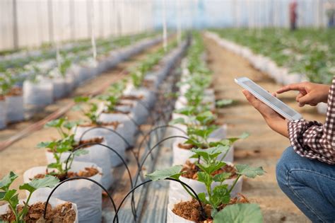 control de luz y temperatura en invernaderos sensorgo