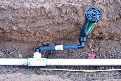 How To Install A Sprinkler System Sprinkler System Diy Irrigation System Diy Sprinkler