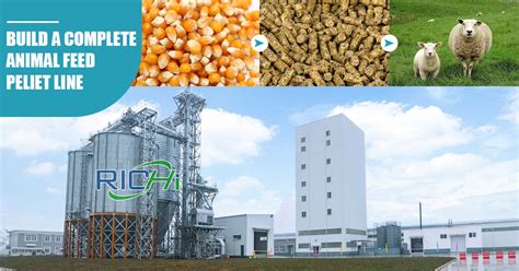 Sheep Feed Pellet Production Line Pellet