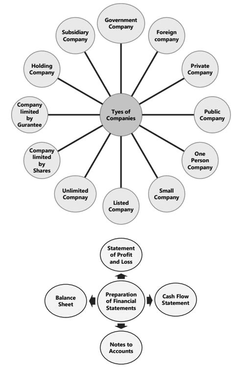 Unit 1 Introduction To Company Accounts Chapter Notes Accounting For Ca Foundation Pdf Download
