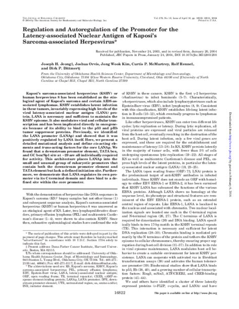 Pdf Regulation And Autoregulation Of The Promoter For The Latency Associated Nuclear Antigen