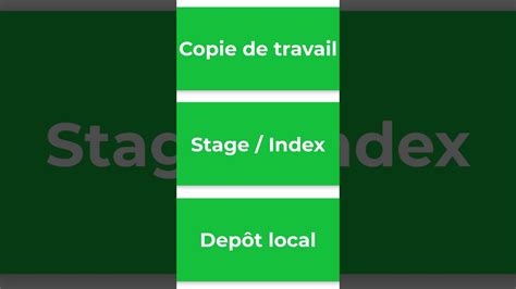 Les 5 Zones Git • Delicious Insights