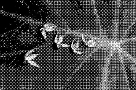 ページ6 Bitmap 이미지 Freepik에서 무료 다운로드