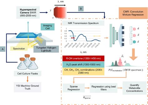 Overview Of Cmr Network Experimental Design And Architecture A Cho