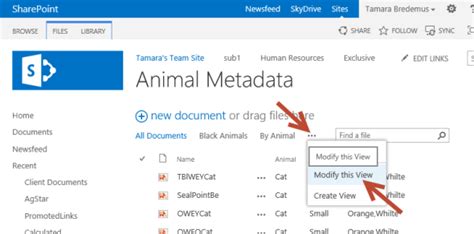 Links To Additional Views Disappear In Sharepoint 2013 When Ootb Style Is Applied Hey Tamara