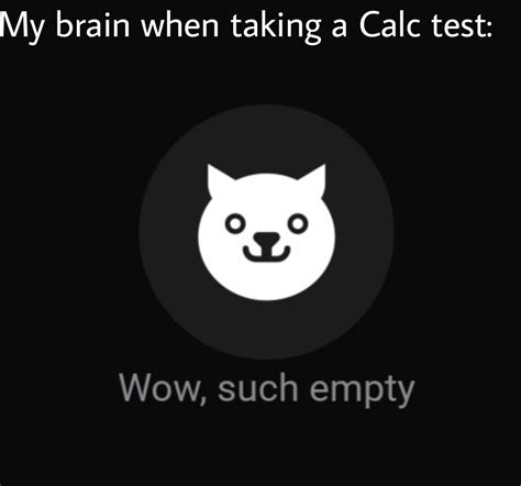 Taking A Calc Test Be Like R Calculus