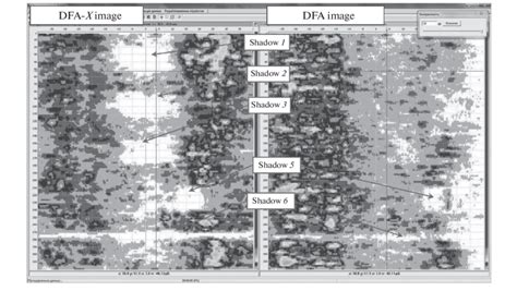 C Type DFA X On The Left And DFA On The Right Images Of The Bottom Download Scientific