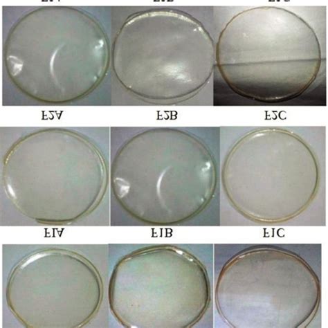 Steps Involved In Solvent Casting Method For The Preparation Of Download Scientific Diagram