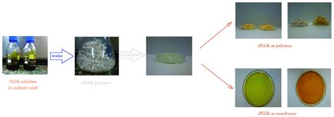Scheme For Obtaining Sulfonated Poly Ether Ether Ketone Speek As A Download Scientific