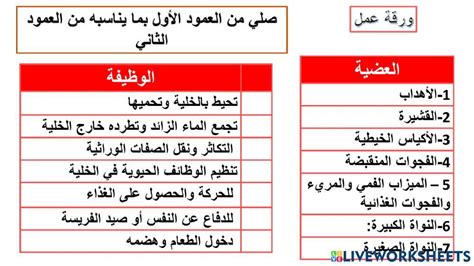 ورقة عمل الطلائعيات دلال غالي فهد المطيري Live