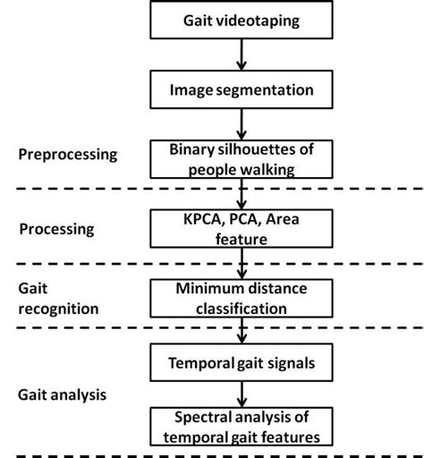 A Flow Chart Of Gait Analysis And Recognition Download Scientific