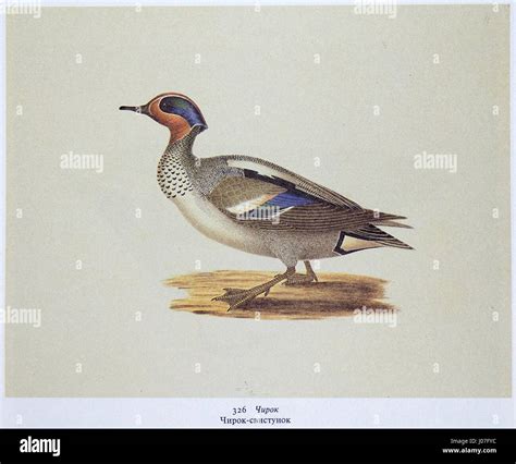 This Title Represents A Transliterated Text In Cyrillic Potentially A Historical Or Cultural