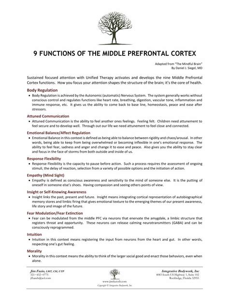Pdf 9 Functions Of The Middle Prefrontal · Pdf File9 Functions Of The