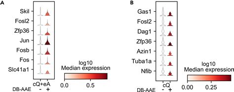 A Deep Learning Adversarial Autoencoder With Dynamic Batching Displays