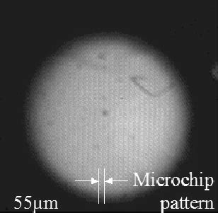 In Situ Imaging Of Microchip Pattern Of A Microelectronic Circuit Download Scientific Diagram