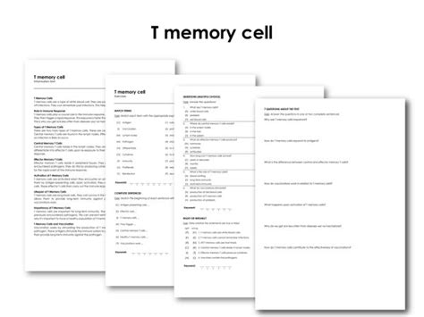 T Memory Cell Made By Teachers