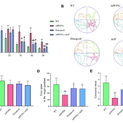 Effect Of Aof On Appps1 Mice In Mwm A Escape Latency In Directional Download Scientific