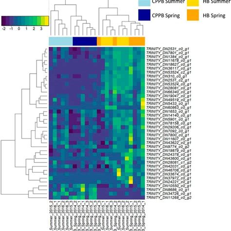 Relationships Between Transcripts With Homology To Nitrosopumilus Sp Download Scientific