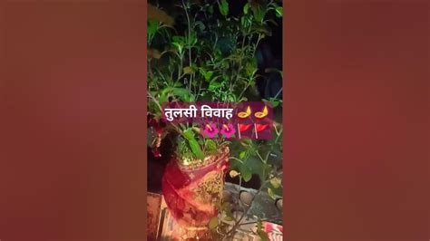 अंगना लागायव तुलसी तव तुलसी बड़ी लहरय हो रामा तुलसी कर पड़ गई विवाहवा