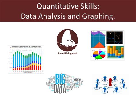 Quantitative Skills Data Analysis And Graphing Ppt Video Online Download