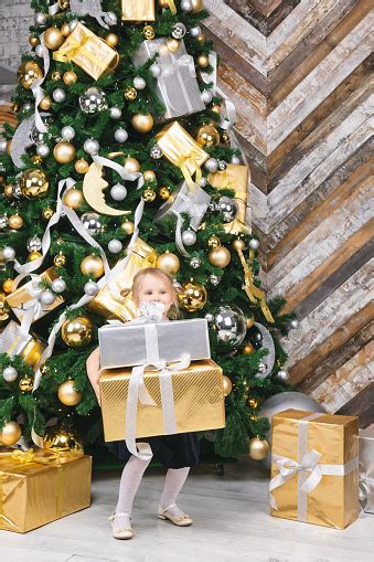 복싱 날에 장식 된 크리스마스 트리 옆에 서있는 큰 포장 된 선물을 들고있는 어린 소녀 가정 생활에 대한 스톡 사진 및 기타 이미지 가정 생활 공휴일 금색 Istock