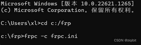 Frp 内网穿透 多系统 多模式（详细多个应用）frpc Csdn博客