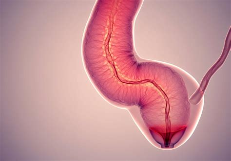Can You Have Sex With A Uti What You Need To Know