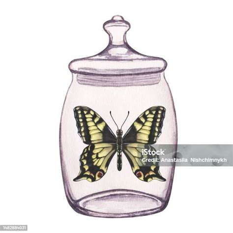 투명한 유리병 안에 나비가 들어 있다 손으로 그린 수채화 그림은 흰색 배경에 분리되어 있다 엽서 포스터 스티커 지문 나비에 대한 스톡 벡터 아트 및 기타 이미지 Istock