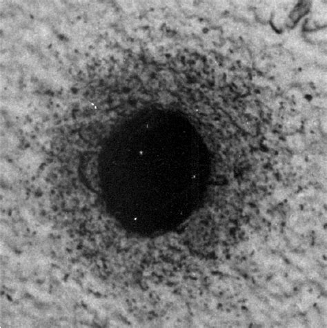 Preferential Etching Surrounding An Incipiently Grown Void Showing The Download Scientific