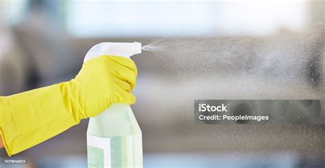 소독 박테리아 및 가정 안전을 위해 스프레이 병의 세제로 청소 가사 및 손 봄 청소 집안일 및 장갑을 낀 하녀 스프레이 청소