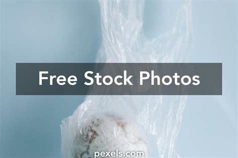 Global Environmental Issues Photos Download The Best Free Global Environmental Issues Stock