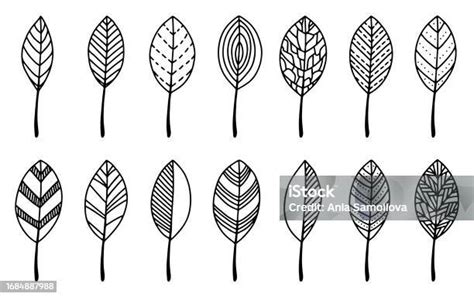 벡터 낙서 나뭇잎 세트입니다 스티커 카드 장식을 위한 나뭇잎의 검은색 등고선 손 그림 흰색 배경에 벡터 그림 0명에 대한 스톡 벡터 아트 및 기타 이미지 Istock