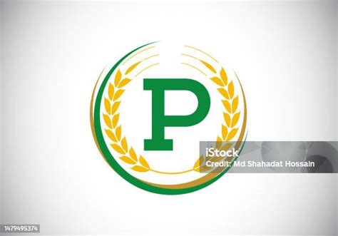 밀 귀 화환이 있는 첫 글자 P 기호 기호 유기농 밀 로고 디자인 개념 농업 로고 디자인 벡터 템플릿입니다 개념에 대한 스톡 벡터 아트 및 기타 이미지 Istock