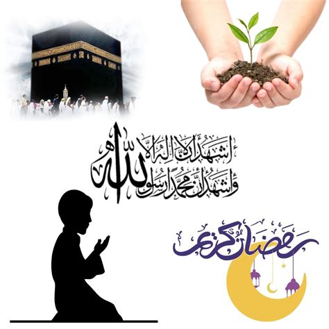 الفرق بين أركان الإيمان والإسلام والإحسان