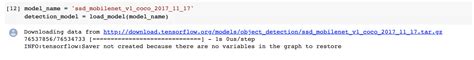 info tensorflow saver not created because there are no variables in the