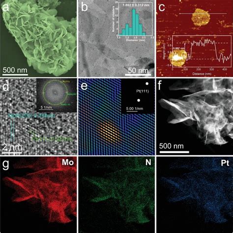 Characterization Of Mon‐5 Pt A Sem B Tem Inset Cluster Size