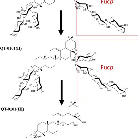 Chemical Structure Of The Qs 21 Qt 0101 Ii And Qt 0101 Iii Saponins Download Scientific