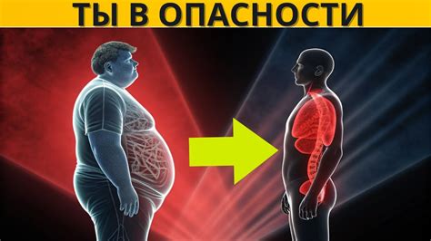 Как Избавиться от Висцерального Жира за 30 Дней БЕЗ Диет Youtube