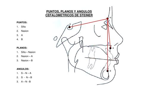 Puntos Cefalometricos