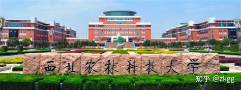 西北农林科技大学842数据结构与C语言计算机考研初试经验分享 知乎
