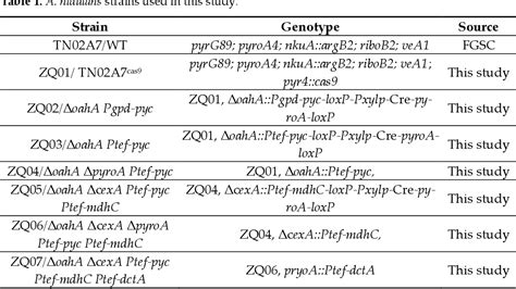 Table 1 From Production Of L Malic Acid By Metabolically Engineered