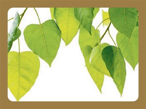 නෝනලා ටිකක් ඉවසුවා කියලා රැකගන්න මිසක් නැතිවෙන්න දෙයක් නෑ ⋆ ධරණී