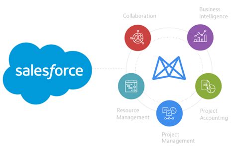 Salesforce Certified Developer Training Mumbai Salesforce Training In Mumbai