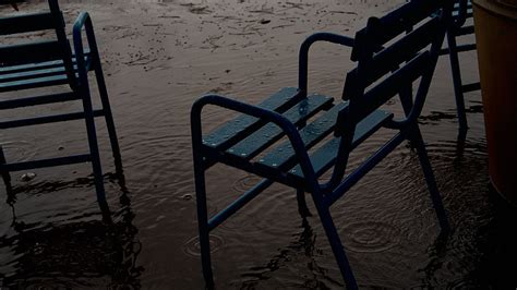 Край на жегите и пожарите Студен фронт носи дъжд и по ниски температури Новини бг