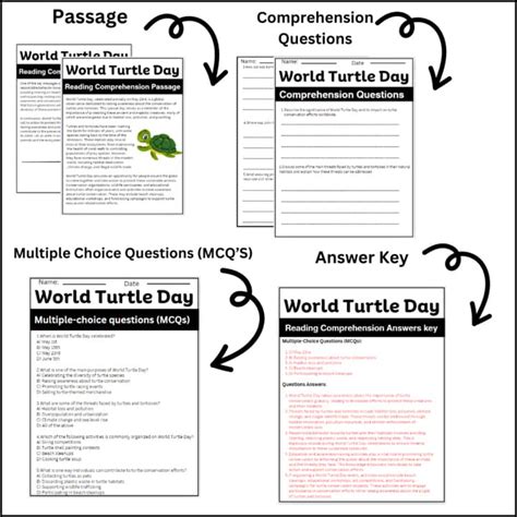 World Turtle Day Reading Comprehension Passage Activity Worksheets