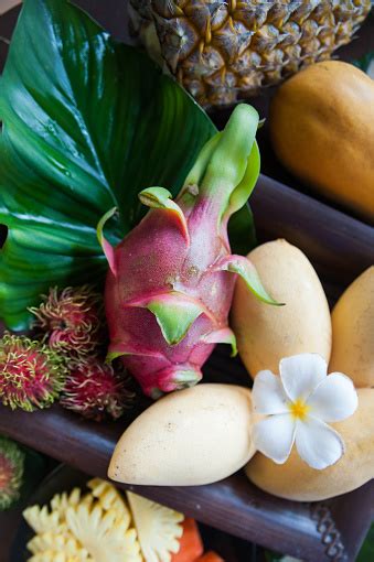 이국적인 과일 육즙 자연 촬영 망고 파파야 드래곤 과일 람 부탄 파인애플 건강한 생활방식에 대한 스톡 사진 및 기타 이미지 건강한 생활방식 건강한 식생활 과일