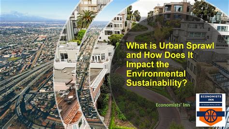 What Is Urban Sprawl How Does Urban Sprawl Impact The Environmental Sustainability An