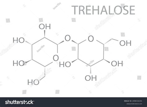 Trehalose Molecular Skeletal Chemical Formula Stock Vector Royalty Free 2098316191 Shutterstock